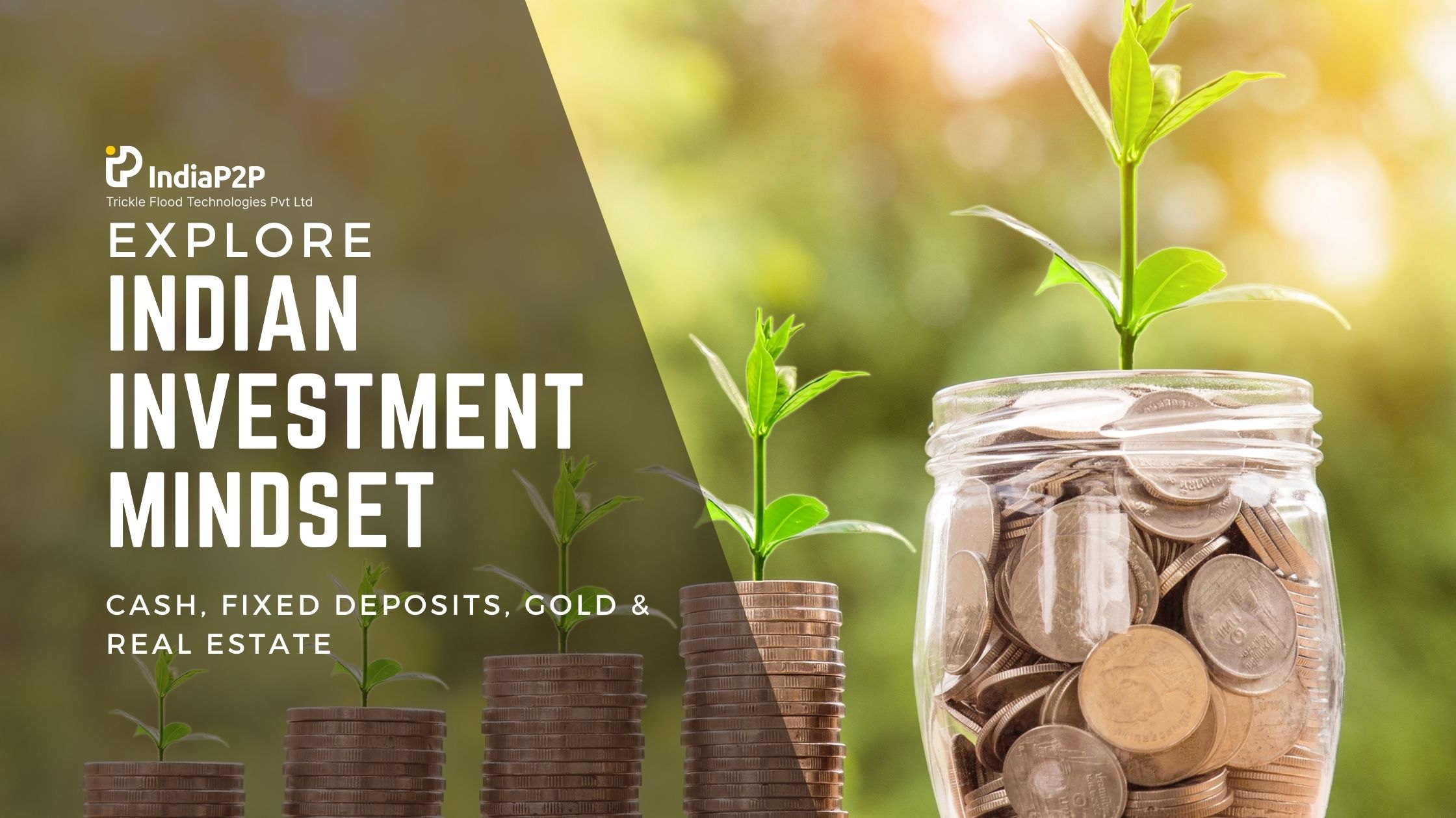 Explore the Indian Investment Mindset! How do Indians Invest?